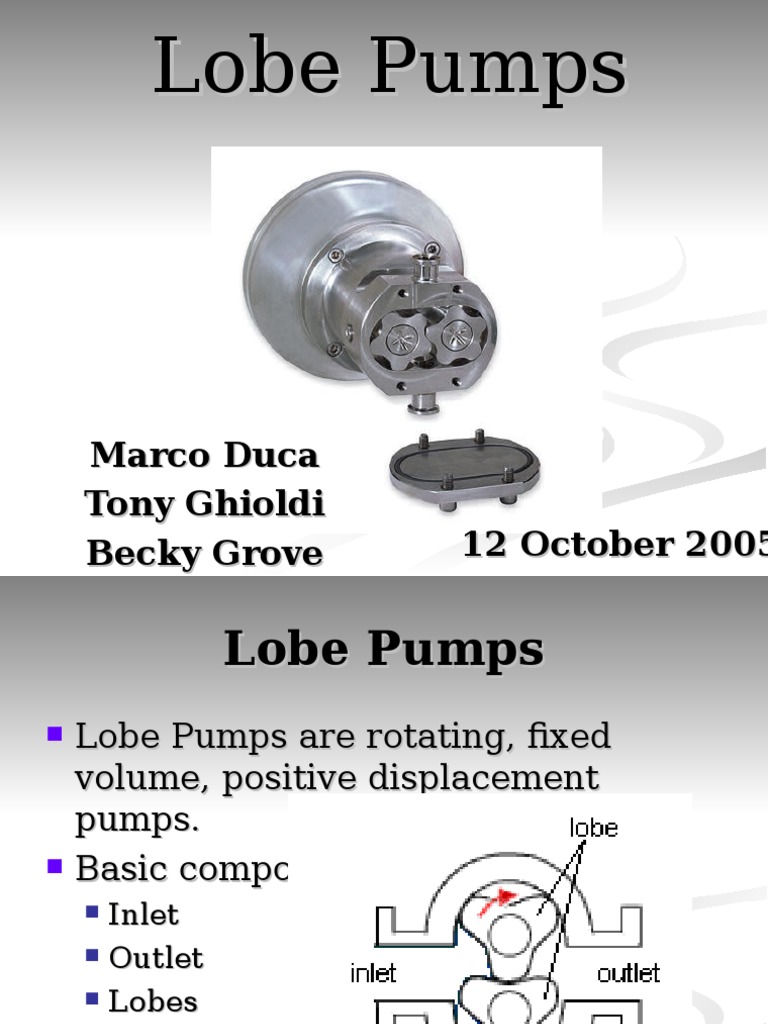 Lobe Pumps