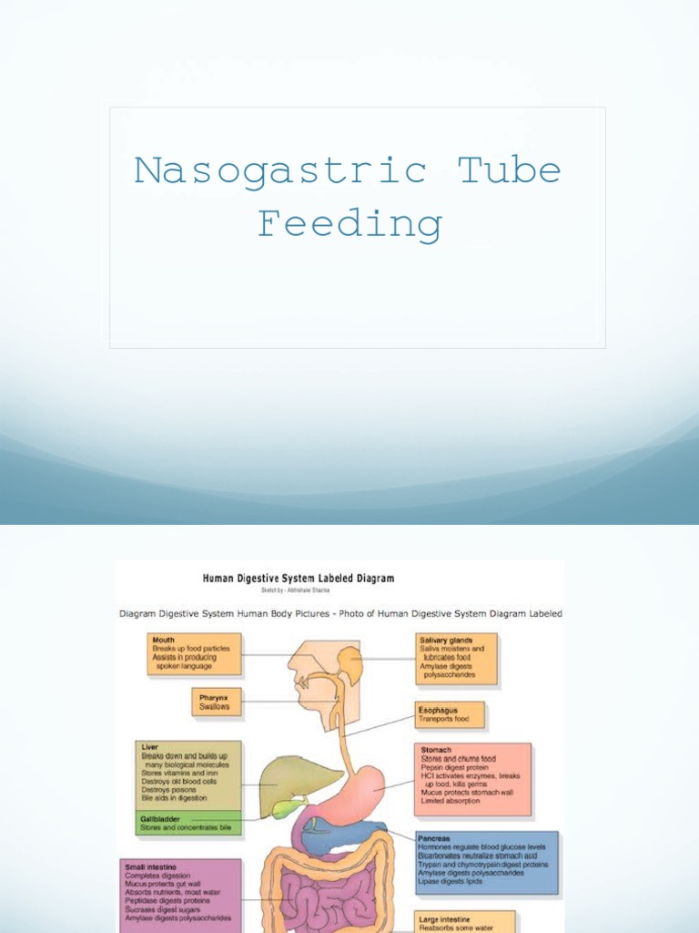 NGT.ppt | Gastroenterology | Medicine