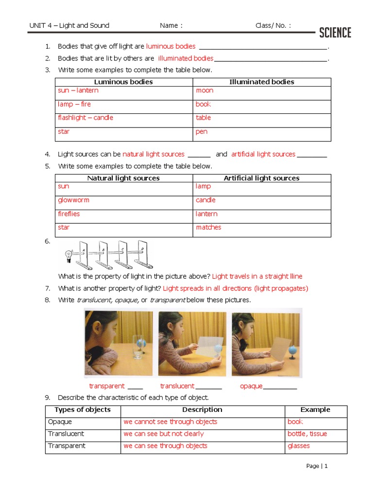 Science - Light and Sound - Answer | PDF | Sound | Reflection (Physics)
