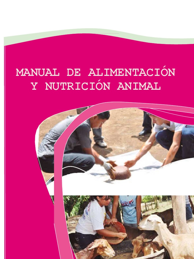 Manual de Nutricion Animal | PDF | Rumiante | Digestión