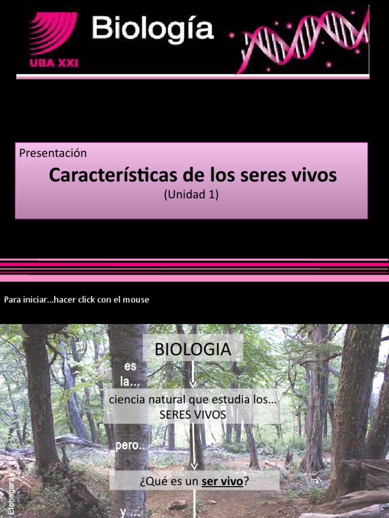 Caracteristicas de Los Seres Vivos - Pps | PDF