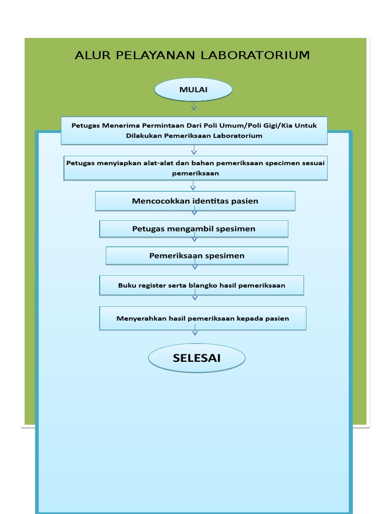 Alur Pelayanan Laboratorium | PDF