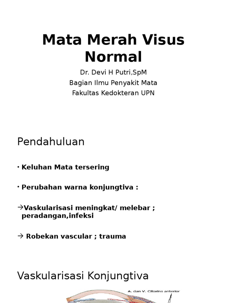 Mata Merah Visus Normal | PDF