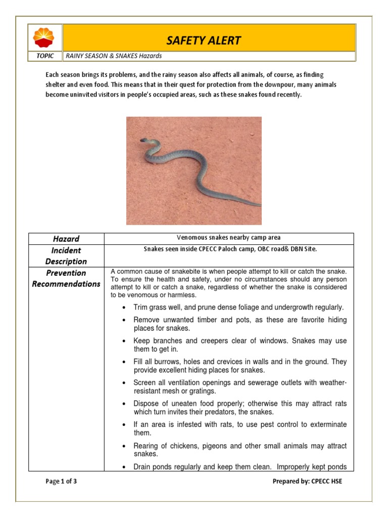 Snake Hazard Alert | Snake | Nature