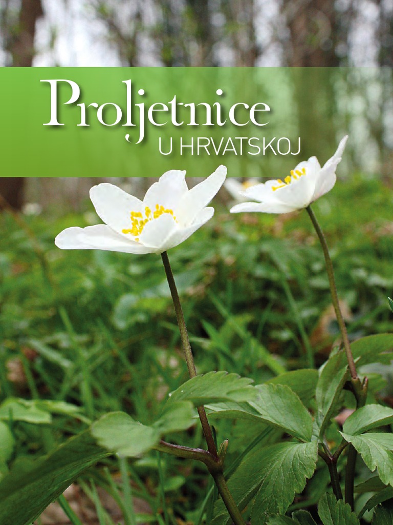 Proljetnice U Hrvatskoj | PDF