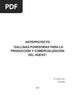 Proyecto de Gallinas Ponedoras | PDF | Pollo | Aves