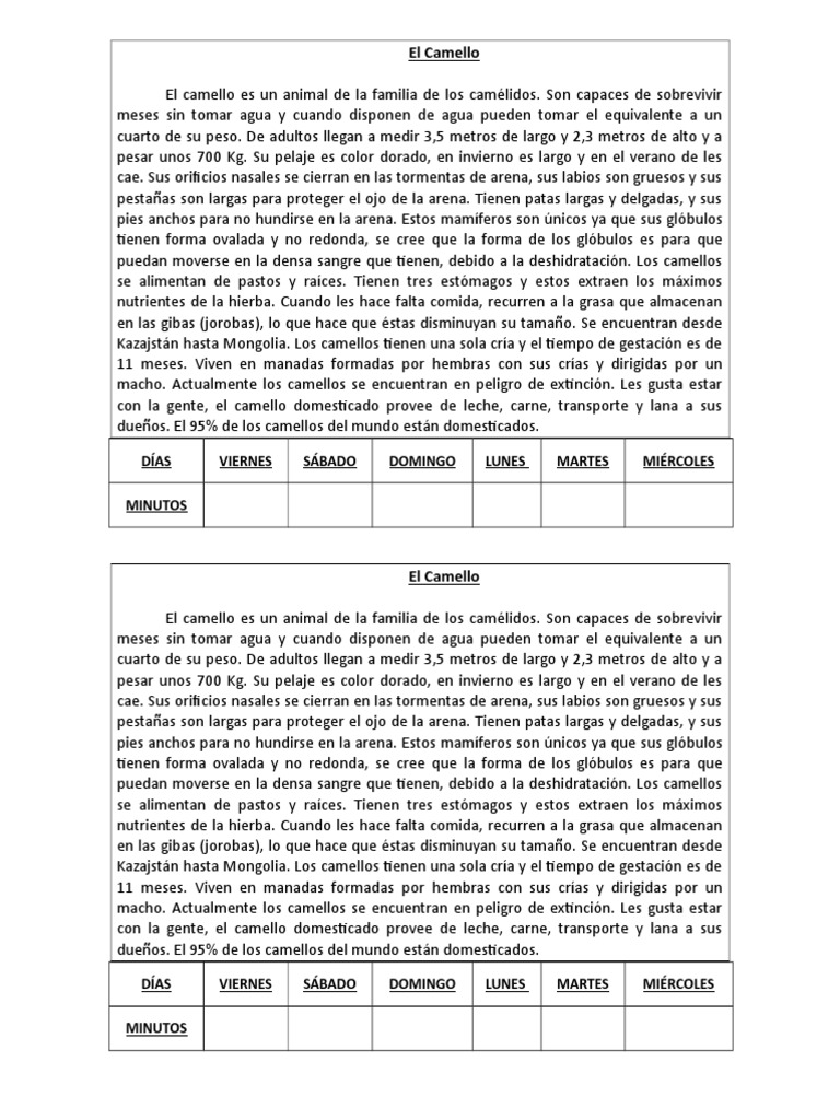 Cuento El Camello | PDF | Camello | Naturaleza