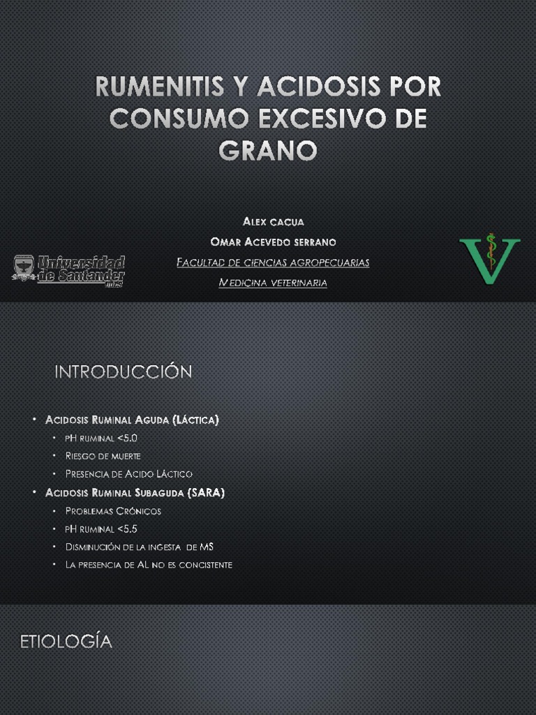 Rumenitis y Acidosis | PDF