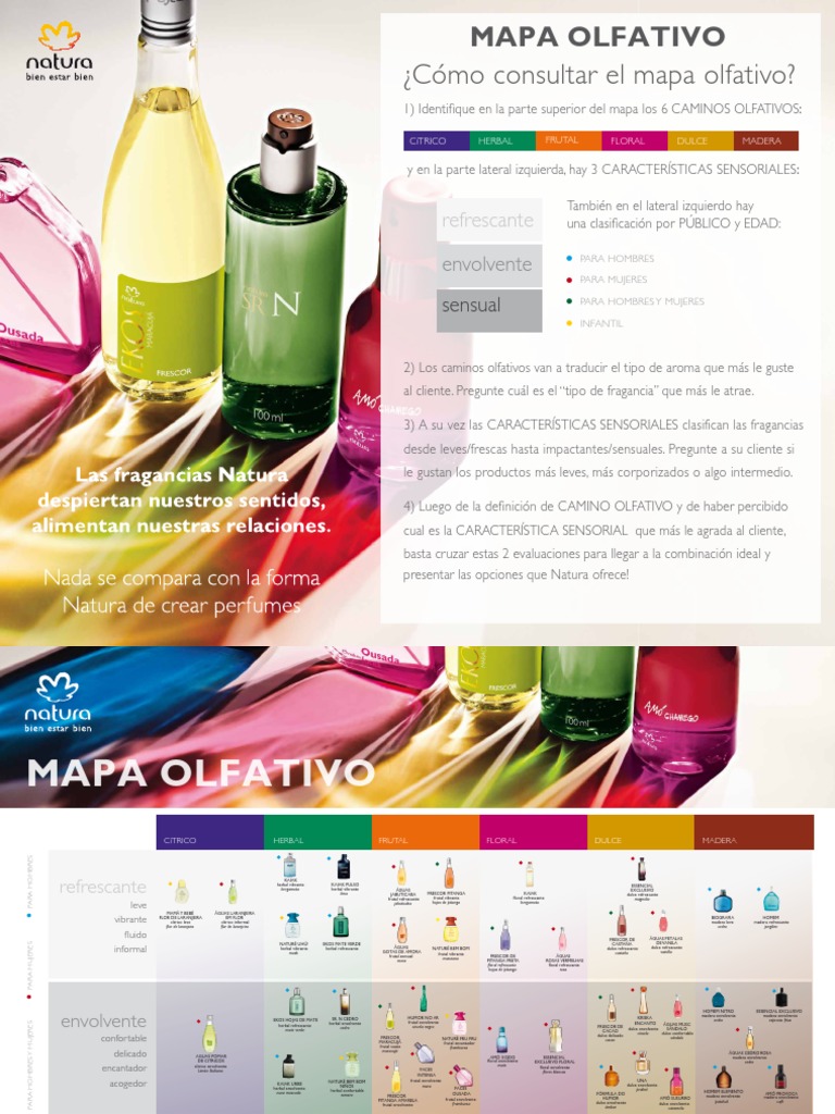Mapa Olfativo PDF | PDF | Etnobotánica | Plantas