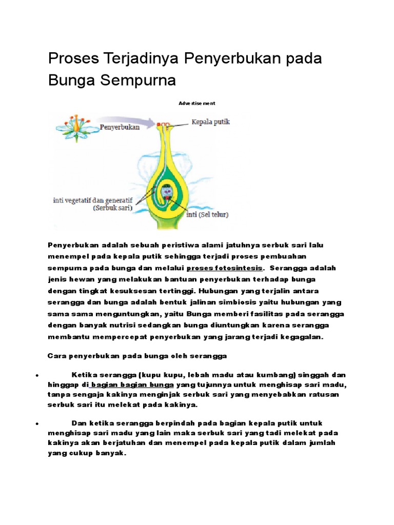 Proses Terjadinya Penyerbukan Pada Bunga Sempurna | PDF