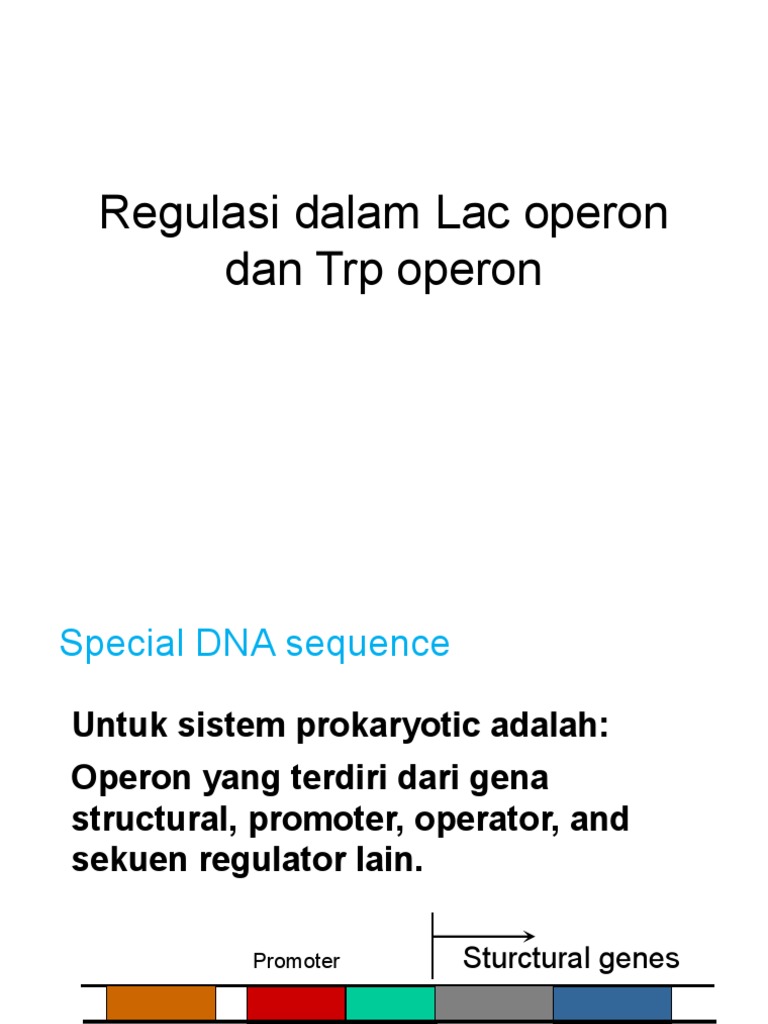 Regulasi Dalam Lac Operon Dan TRP Operon | PDF | Operon | Represor