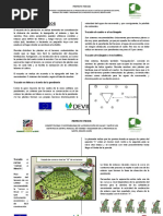 Glifosol - Herbicidas - Ficha Tecnica | PDF | Fotosíntesis | Biosíntesis