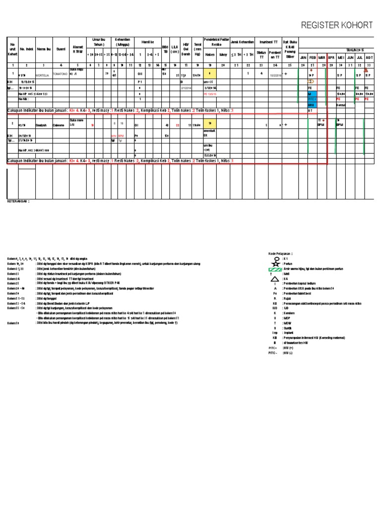 Form Kohort Ibu Dan Ppia | PDF