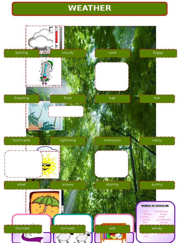 Weather Pictionary Terms | PDF