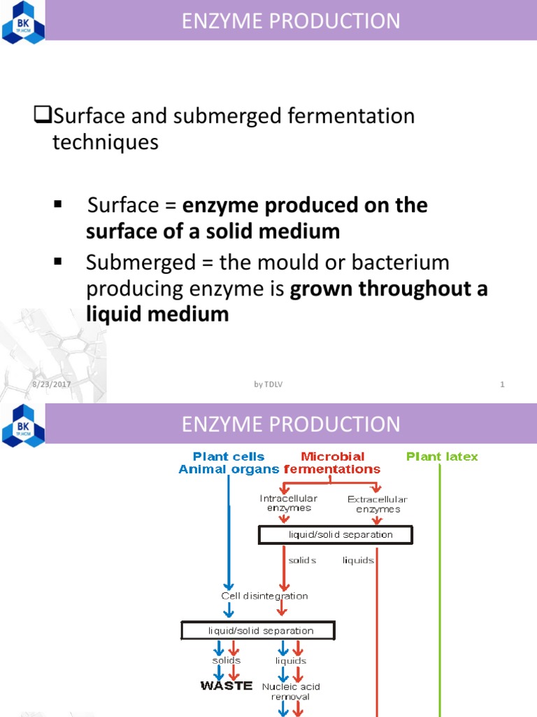 Chapter 3-EnZYME Production and PURIFICATION 20141009 | PDF ...