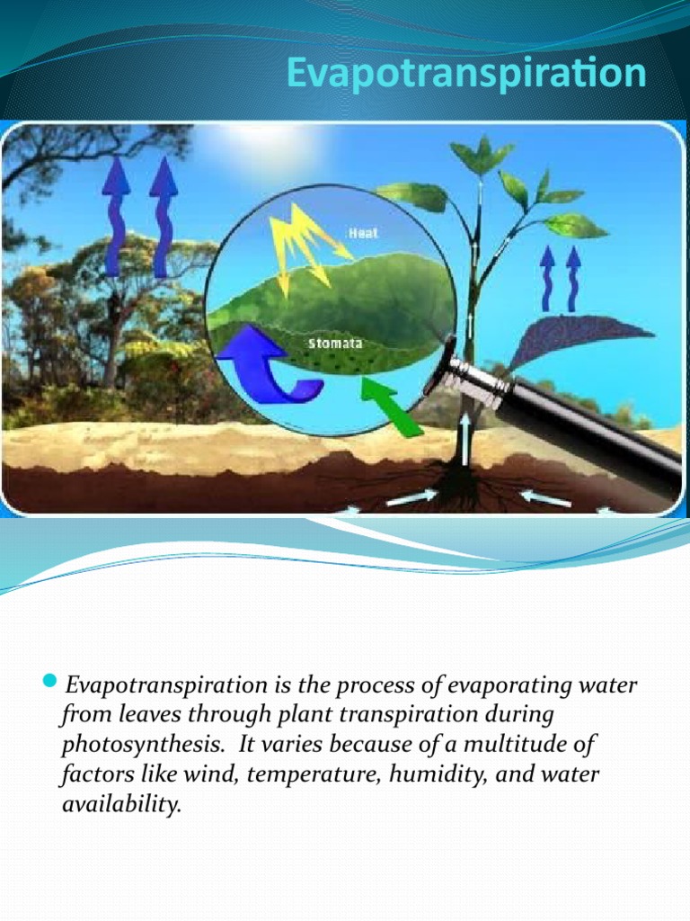 Evapotranspiration Process