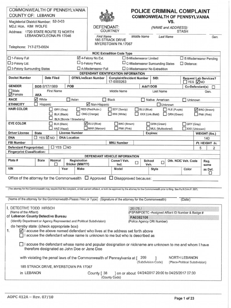 Courtney Stash and Justin Dwyer - Charging Docs | PDF