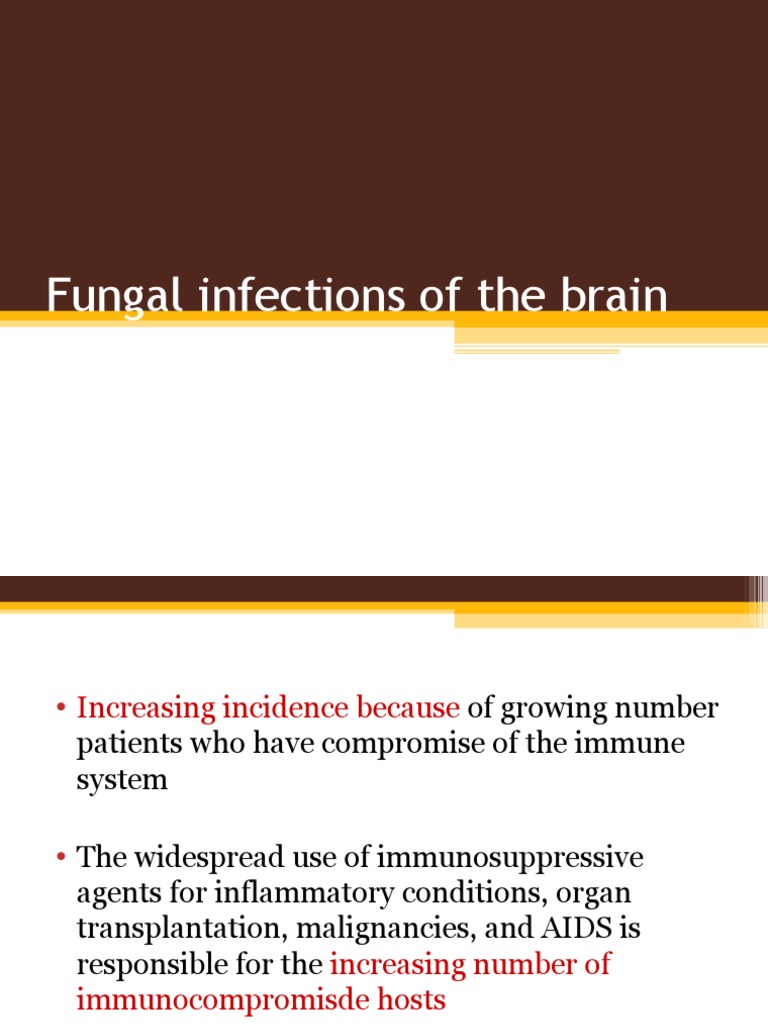 Brain Fungal Infections Overview | PDF | Eukaryotes | Candidiasis
