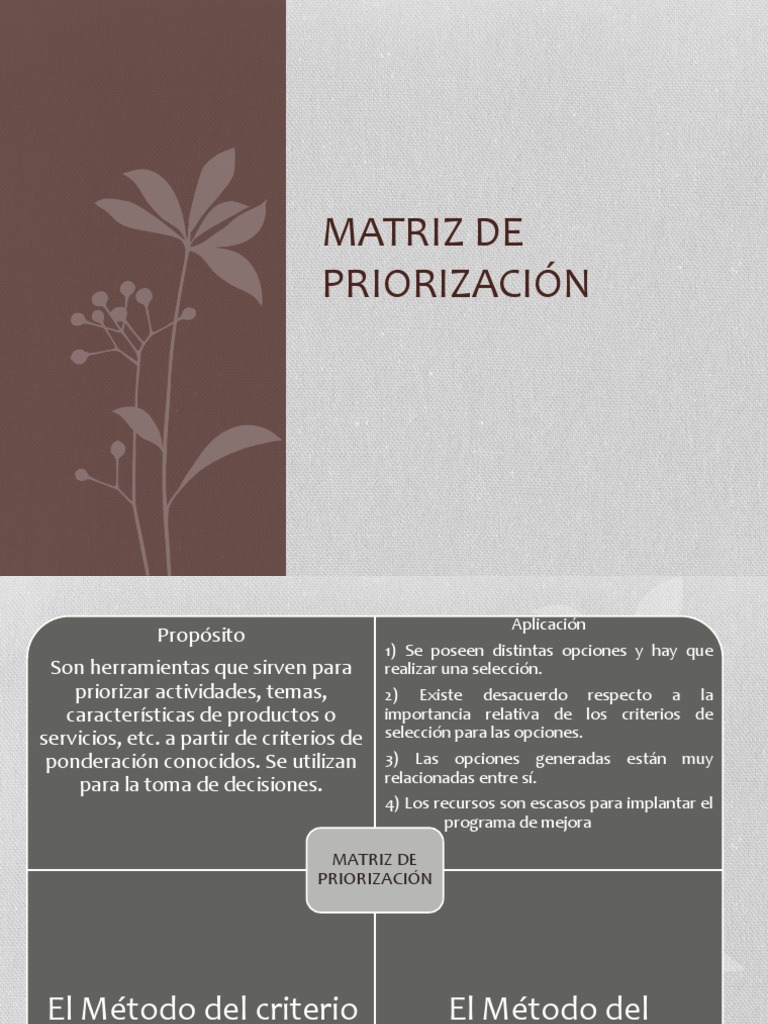 Matriz de Priorización | Descargar gratis PDF | Matriz (Matemáticas ...