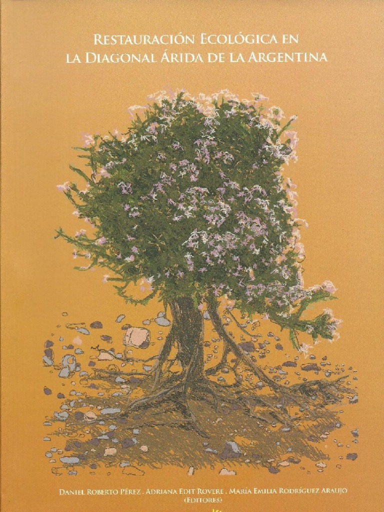 Diagonal Arida I | PDF | Desierto | Clima