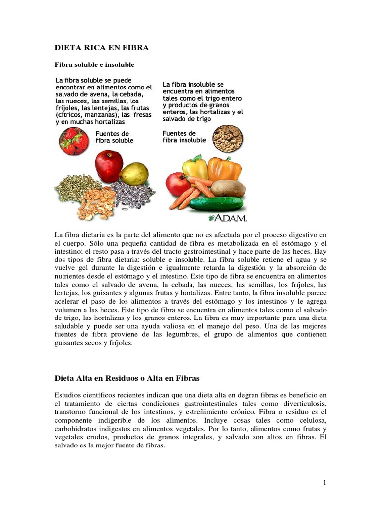 1. DIETA RICA EN FIBRA.pdf | Fibra dietética | Nutrición