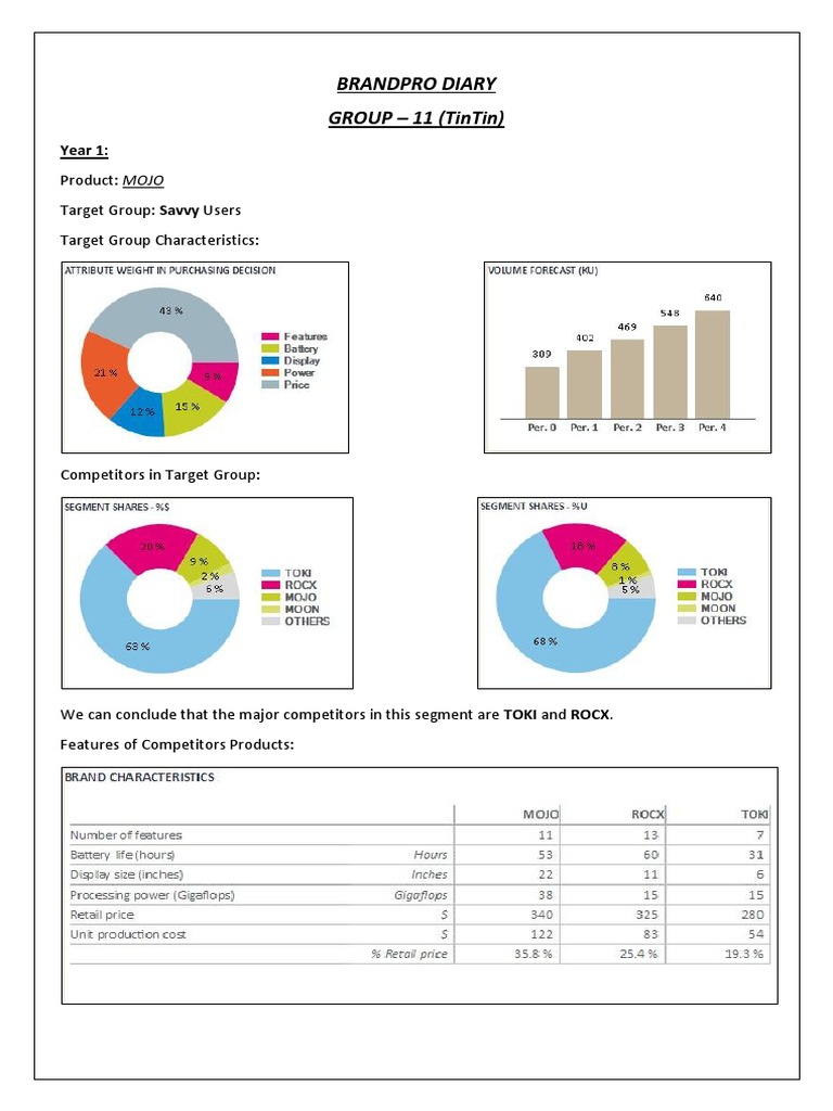 BrandPro Diary | PDF | Target Audience | Marketing