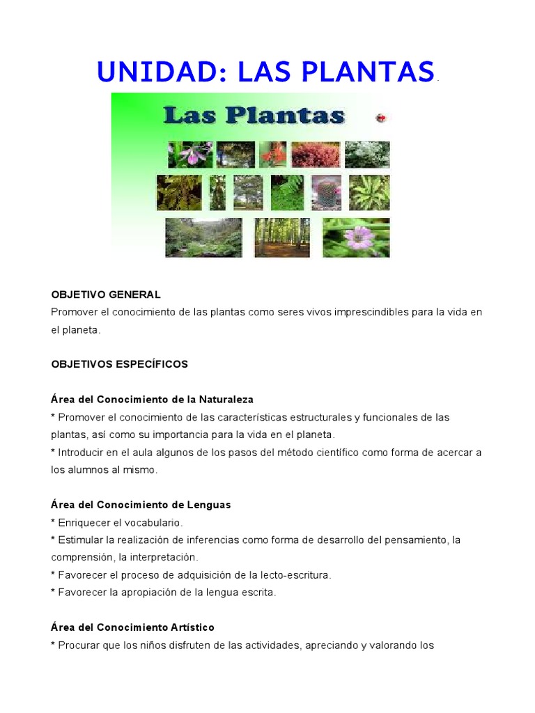 Unidad Las Plantas | PDF