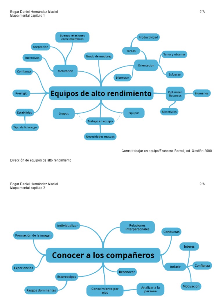Mapa Mental Cap 1 y 2 | PDF
