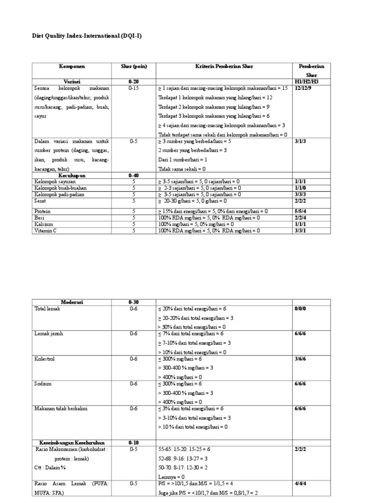 DQI-I Survey Awal | PDF