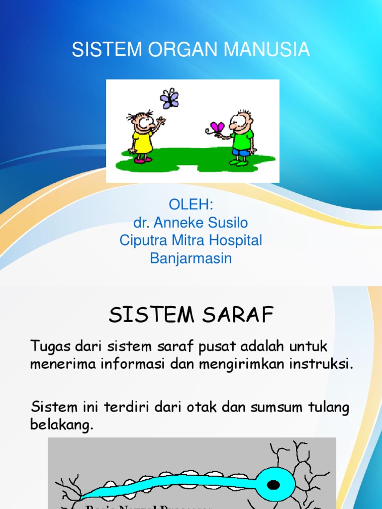 Sistem Organ Tubuh Manusia dan Fungsinya | PDF
