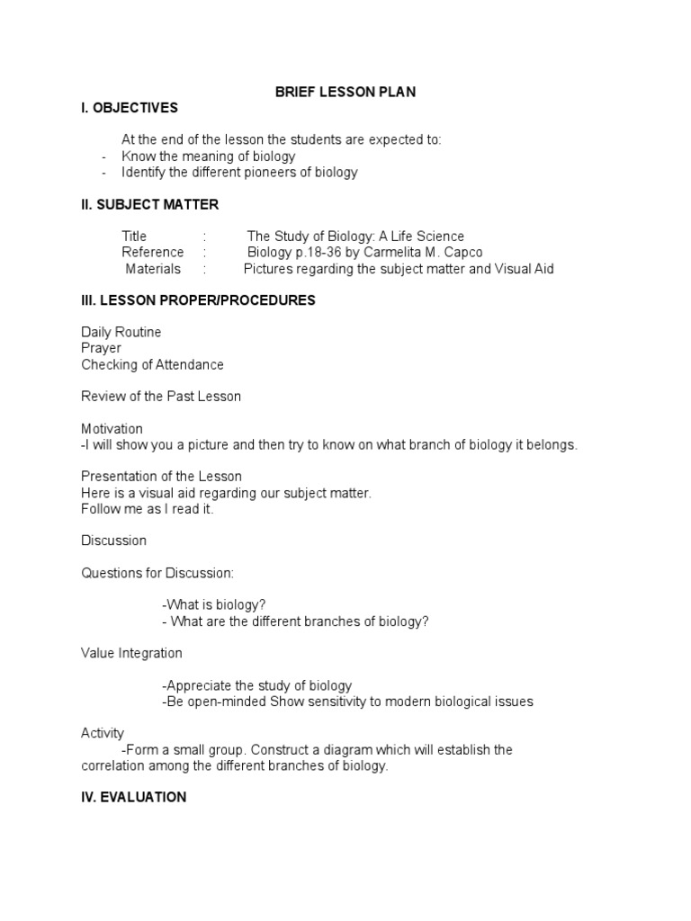 Brief Lesson Plan | PDF