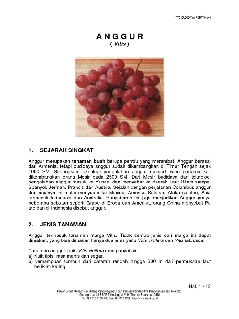 Anggur PDF | PDF