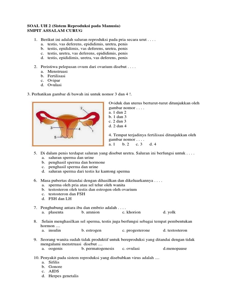 Soal Uh 2 | PDF