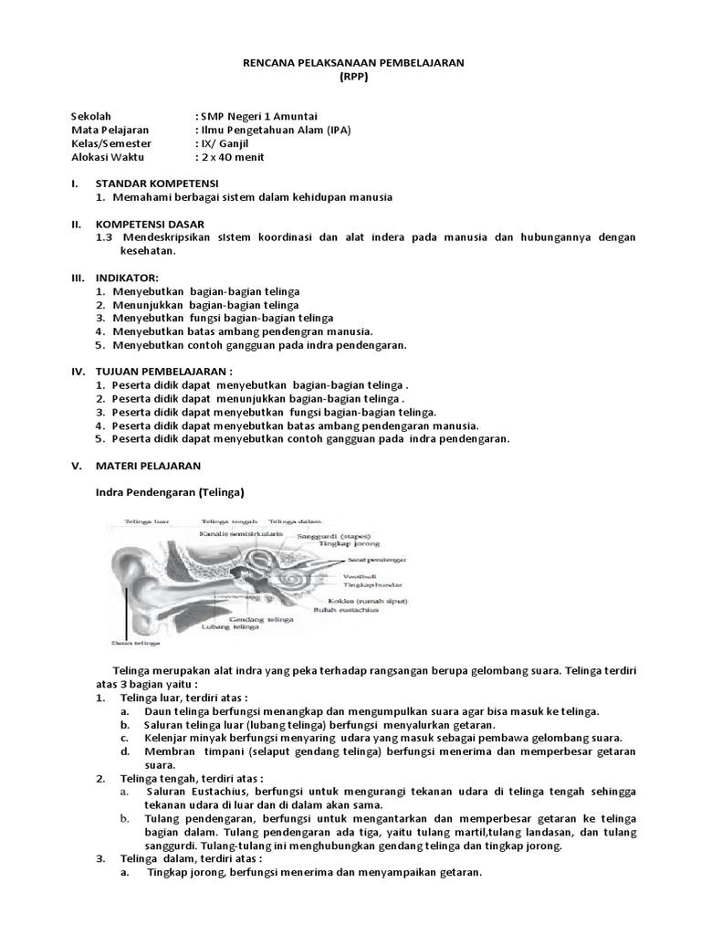 Indera Pendengaran | PDF