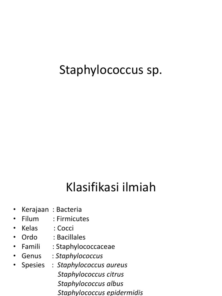 Staphylococcus SP | PDF