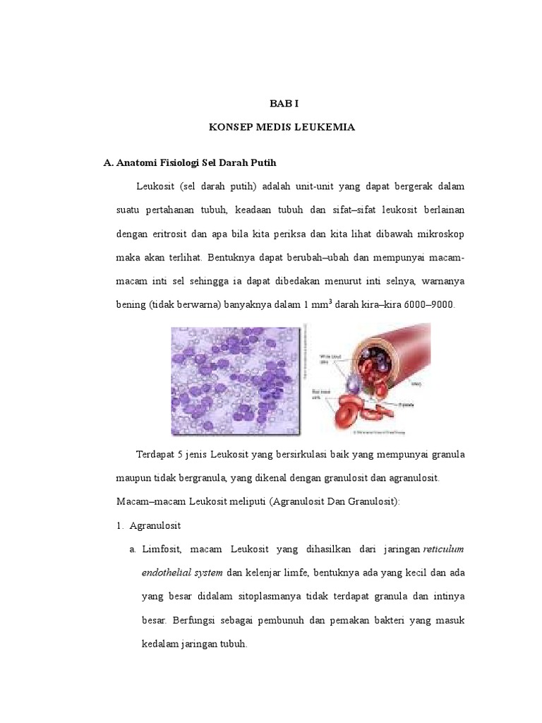 LP Leukemia. | PDF