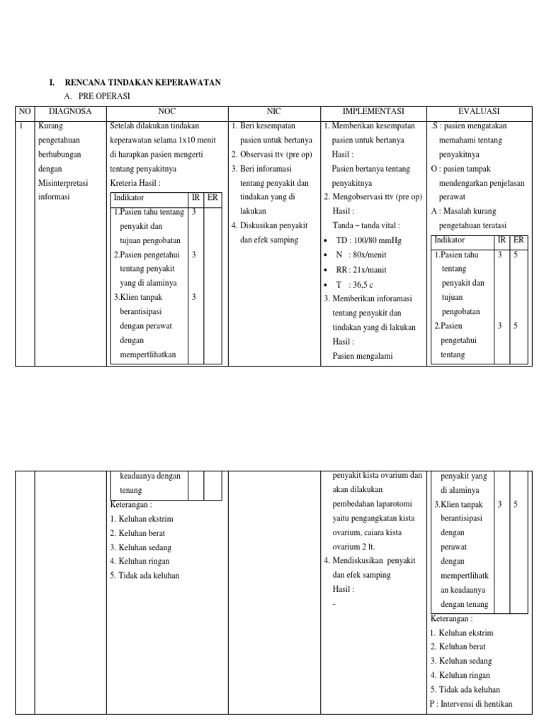 Rencana Keperawatan Adalah - Perumperindo.co.id
