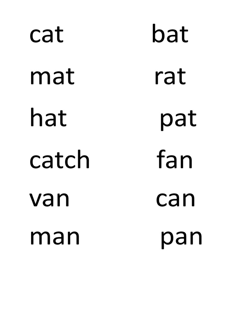 Cat Bat Mat Rat Hat Pat Catch Fan Van Can Man Pan | PDF
