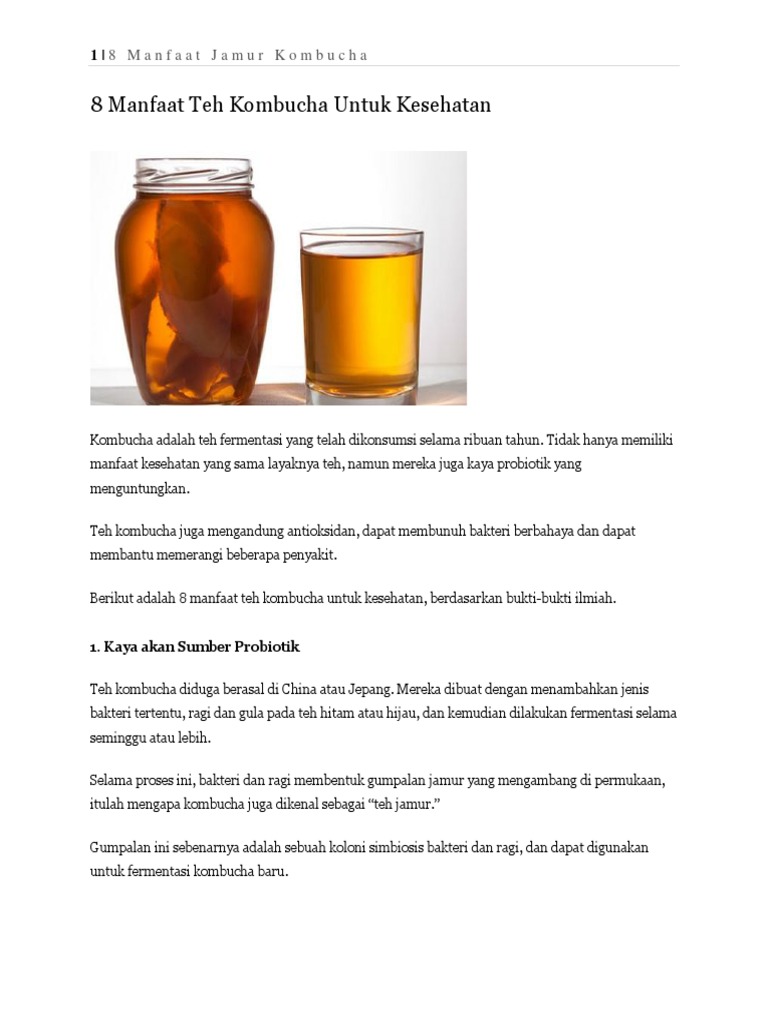 8 Manfaat Teh Kombucha Untuk Kesehatan | PDF