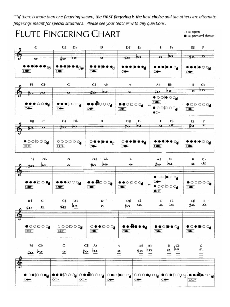 Optimal Instrument Fingering Guide | PDF | Language Arts & Discipline ...