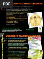 Menú 1100 Kcal | PDF | tostada | ensalada