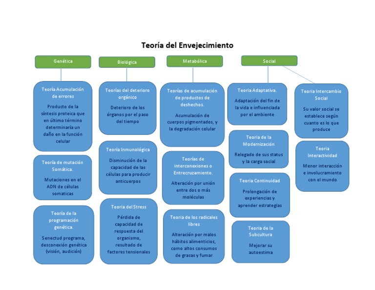 Mapa Conceptual De La Teoría Del Envejecimiento Pdf Envejecimiento
