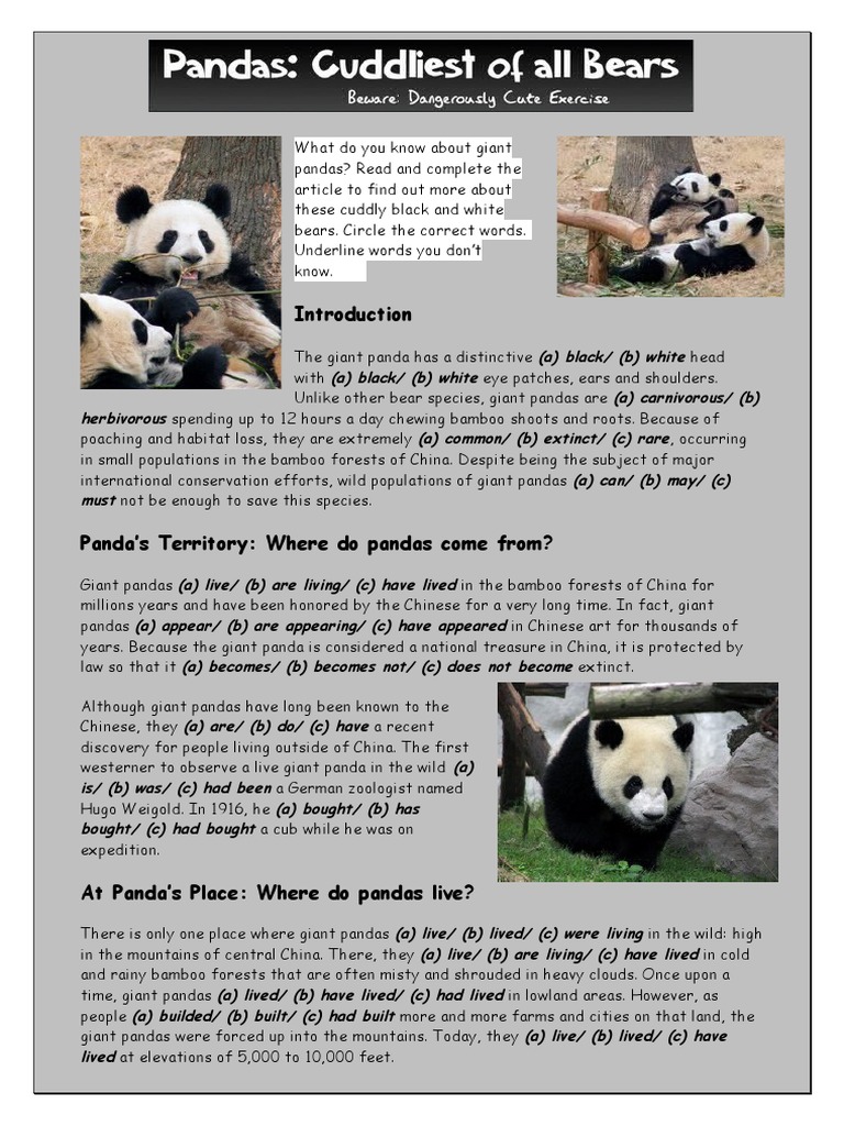 Reading 1 What Do You Know About Giant Pandas | PDF | Giant Panda | Bears