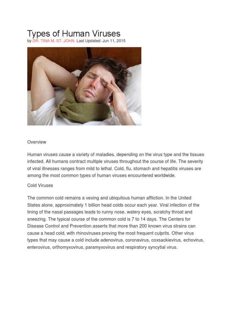 A Comprehensive Overview of the Major Types of Human Viruses: From ...