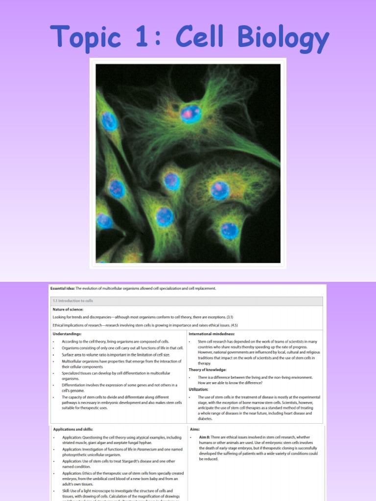 Topic 1-1 Introduction To Cells | PDF | Cellular Differentiation | Cell ...