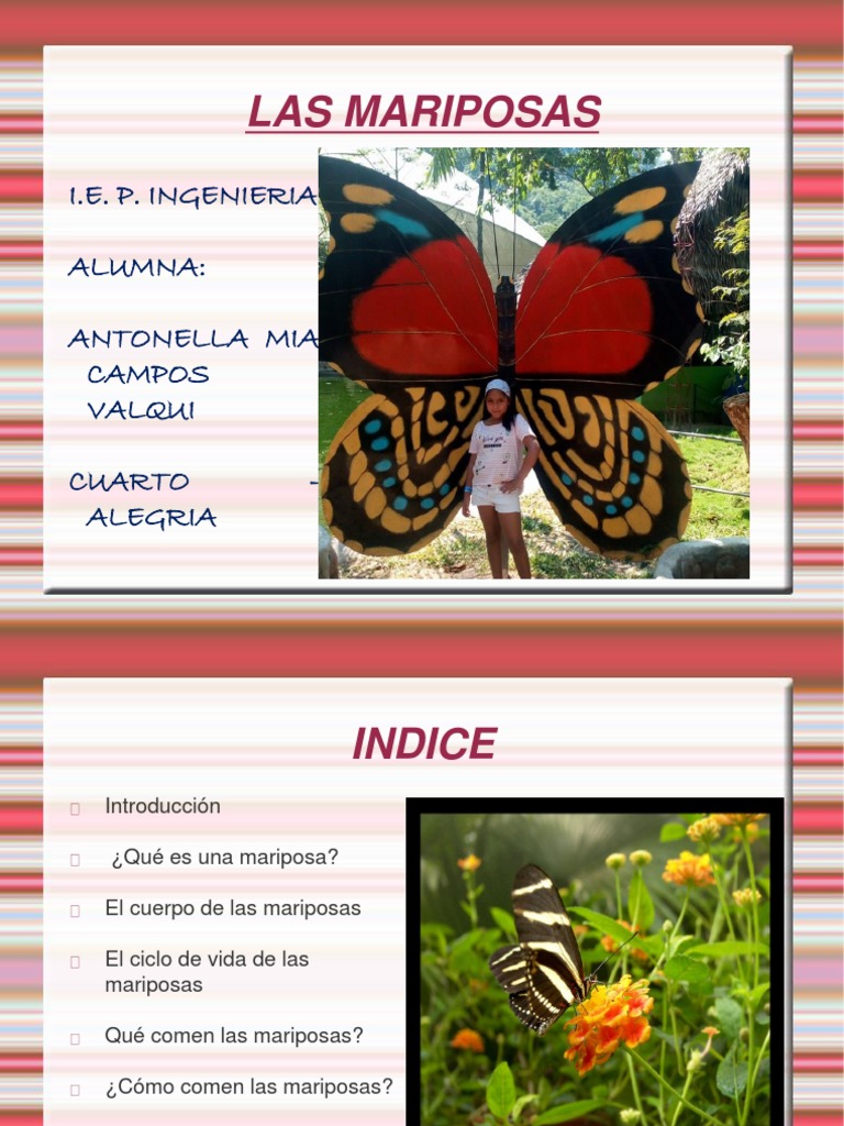 Las Mariposas | PDF | Lepidópteros | Insectos