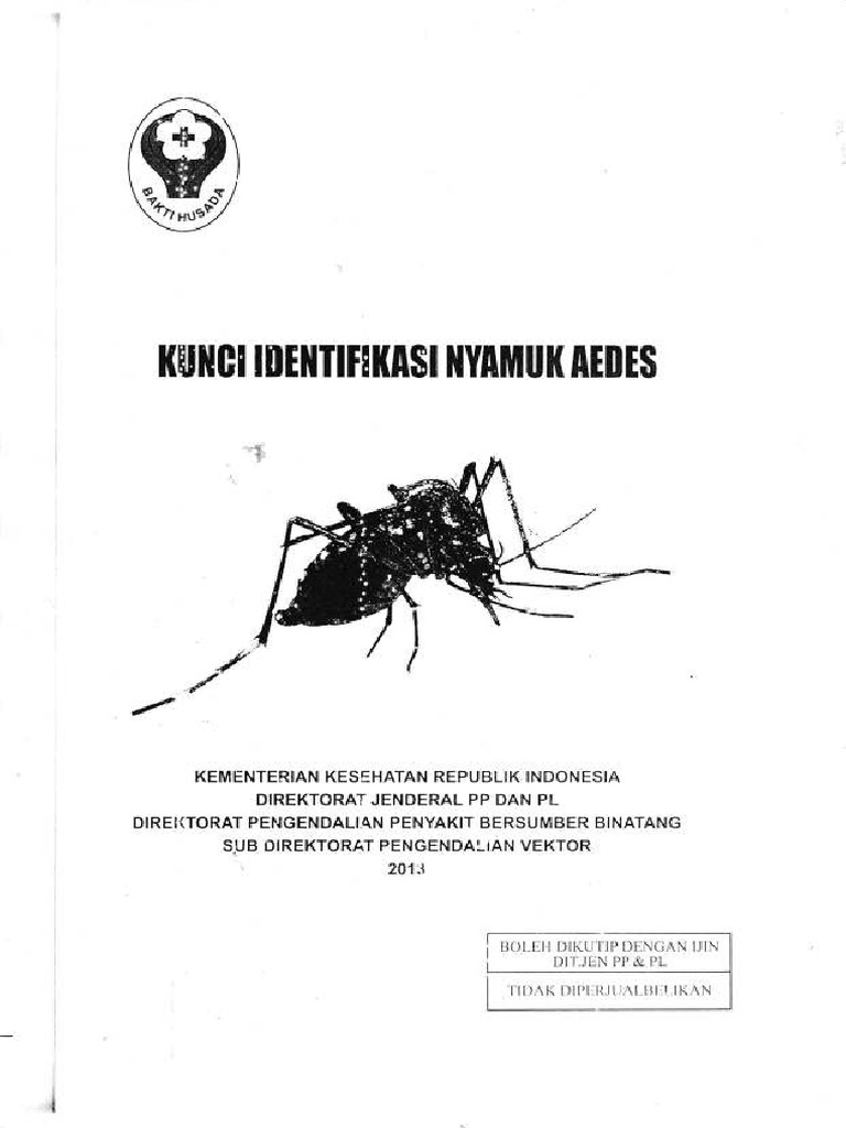 Kunci Jentik & Nyamuk Dewasa Aedes | PDF