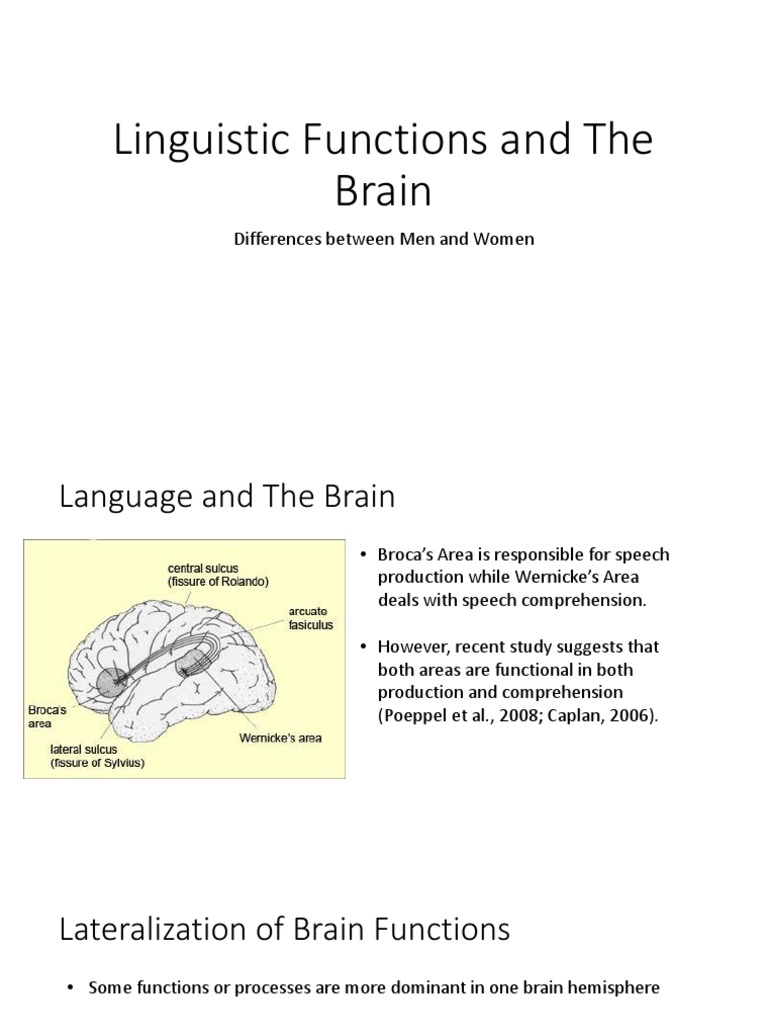 Linguistic Functions and The Brain | PDF | Lateralization Of Brain ...