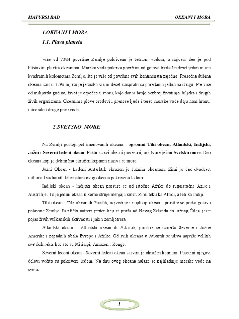 Maturski Rad Kristina | PDF