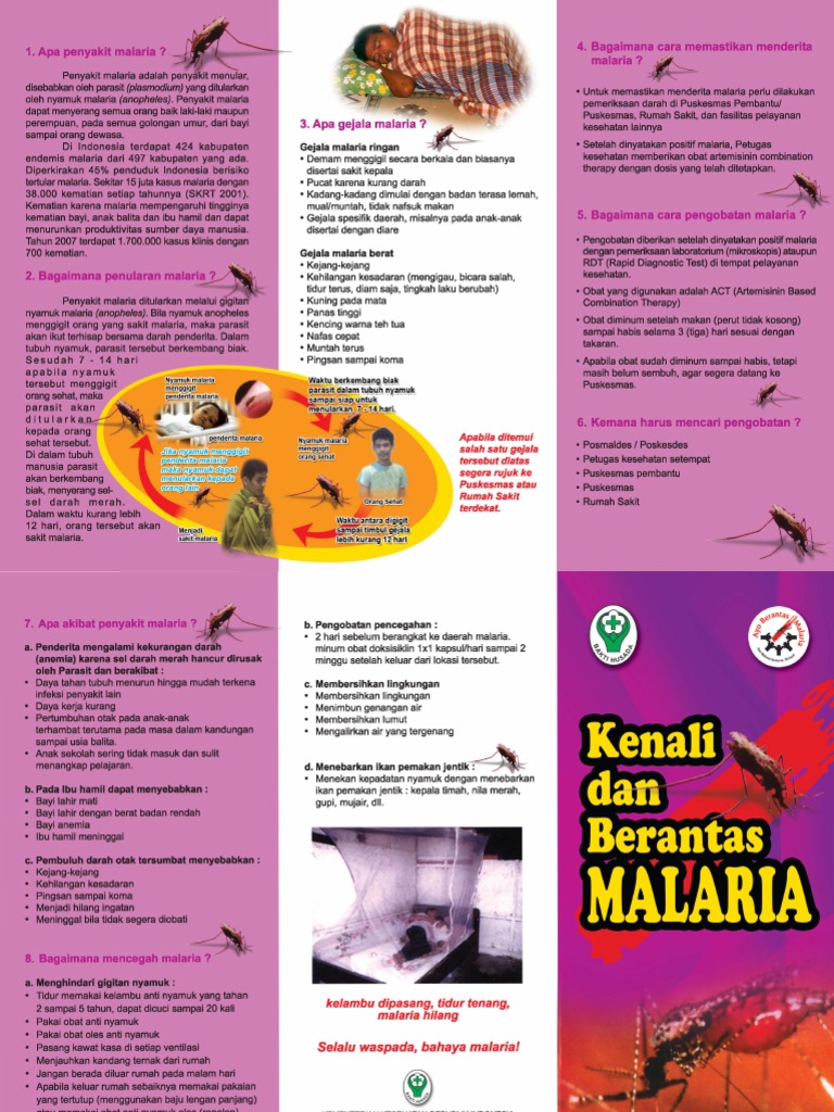 Leaflet Malaria | PDF